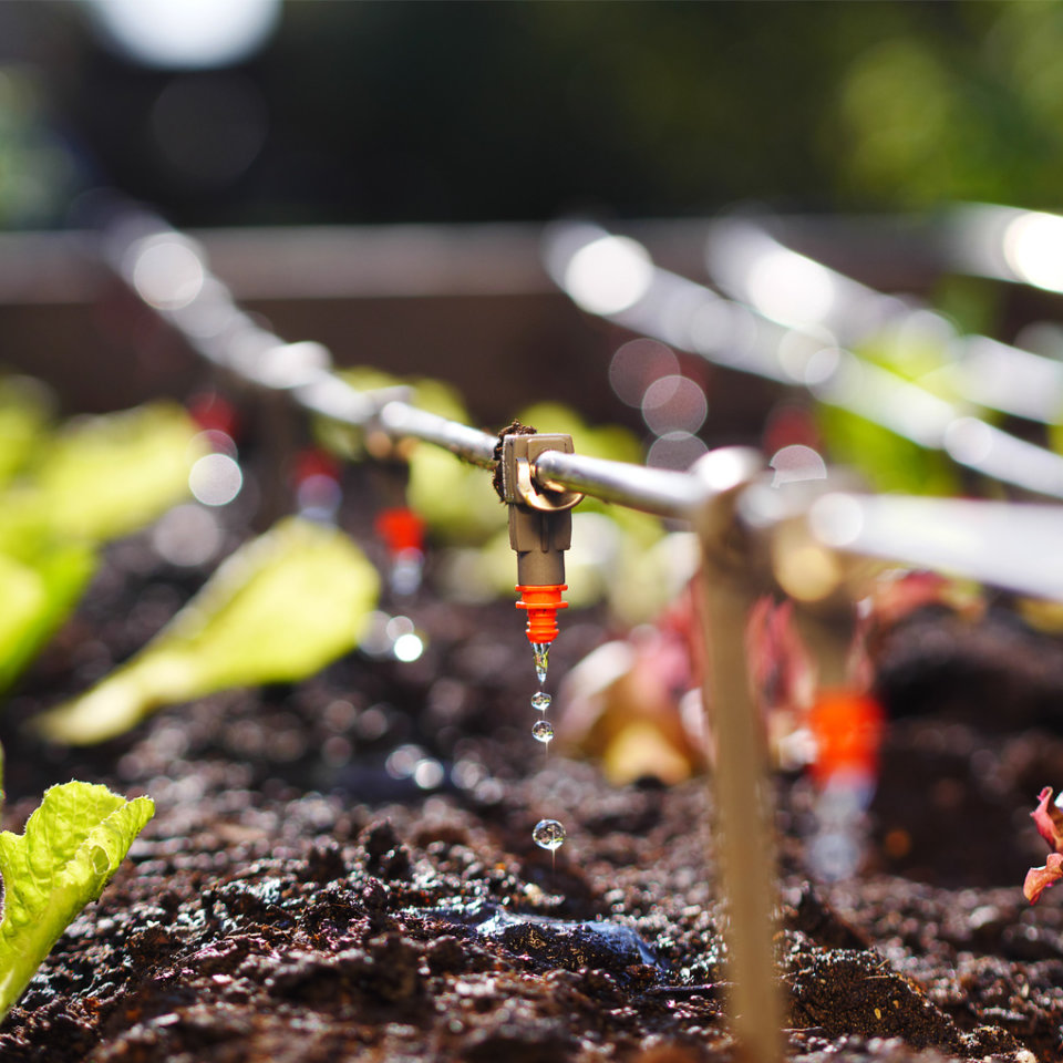 Jain's Ultimate Guide To Irrigation Tubing For Drip Irrigation - CPS ...