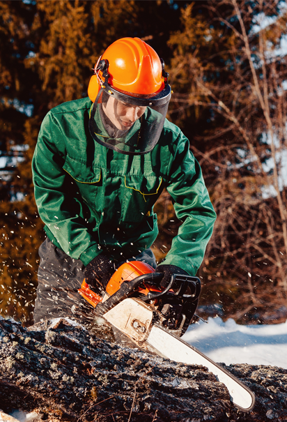 Landscaping Safety PPE List - CPS Distributors